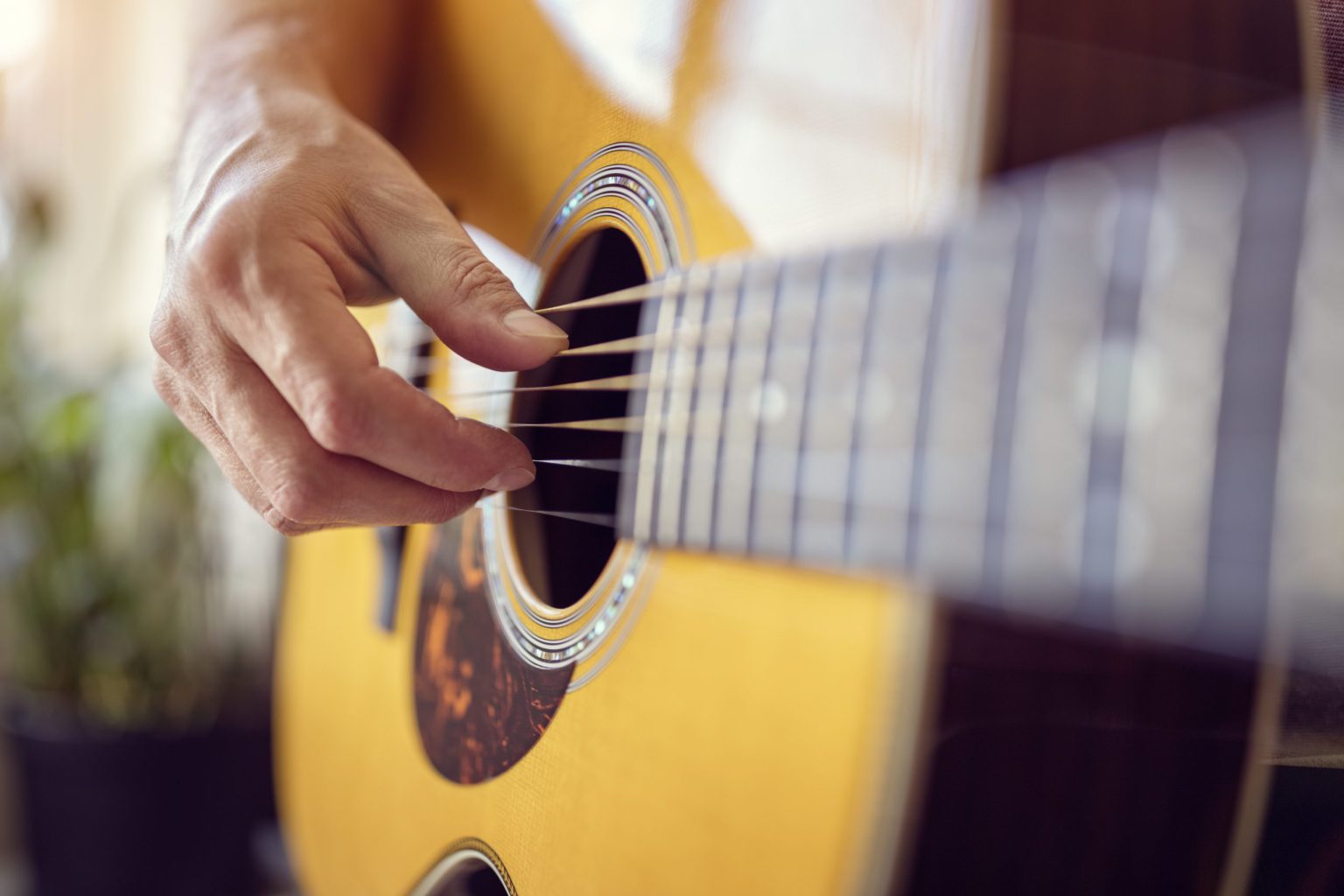 What is Acoustic Guitar | Best Instrument Guide - Music Minds