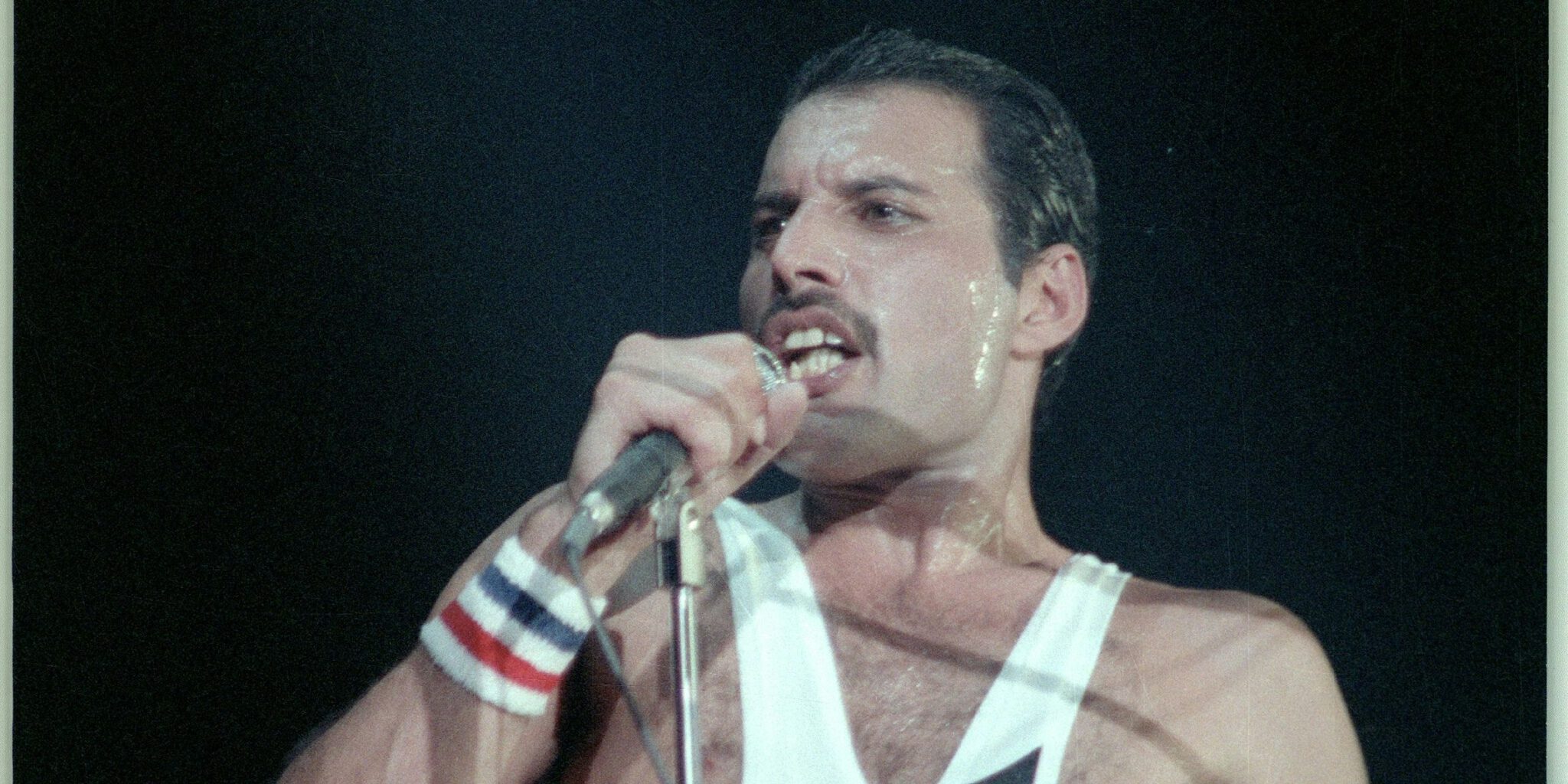 Freddie Mercury’s Secret Daughter Dead at 48 - Music Minds